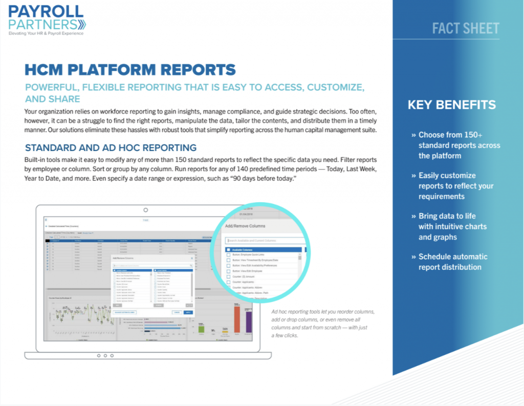 HCM Platform Reports – Payroll Partners
